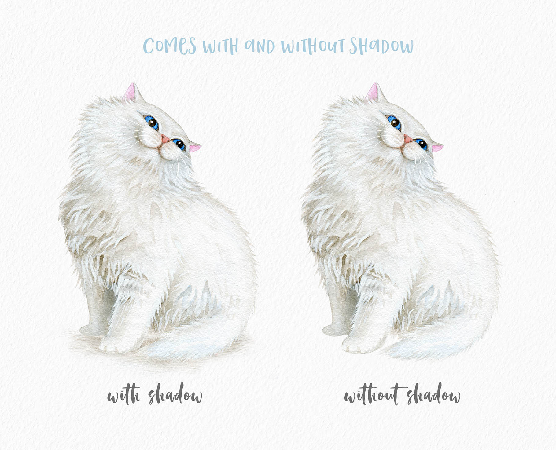 Kitty Cat Clipart Watercolor Cute Kitten White Cat - Etsy