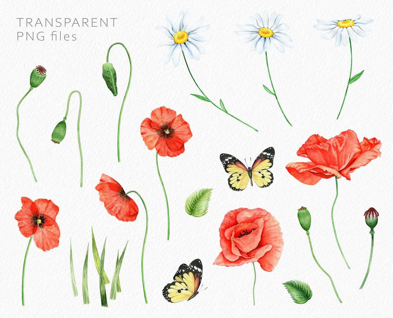 Watercolor Meadow Flowers Clipart. Watercolor Floral Clipart. - Etsy