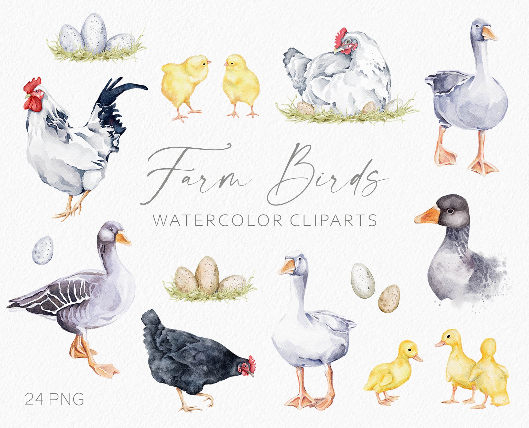 Farm Birds Clipart. Watercolor Farm Animals. Goose Clipart. Duck ...