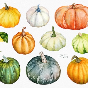 Watercolor Pumpkin Clipart. Autumn Pumpkins. Pumpkin Harving Clip Art ...