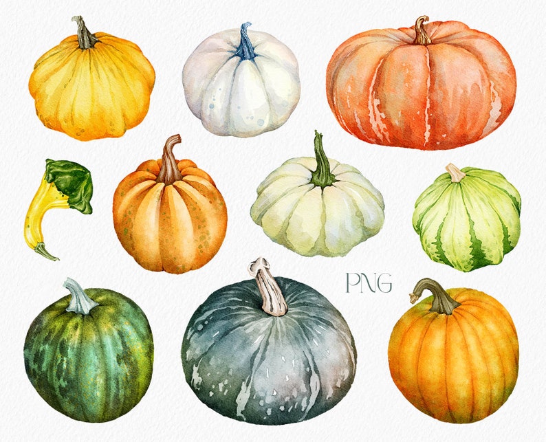 Watercolor Pumpkin Clipart. Autumn Pumpkins. Pumpkin Harving Clip Art ...