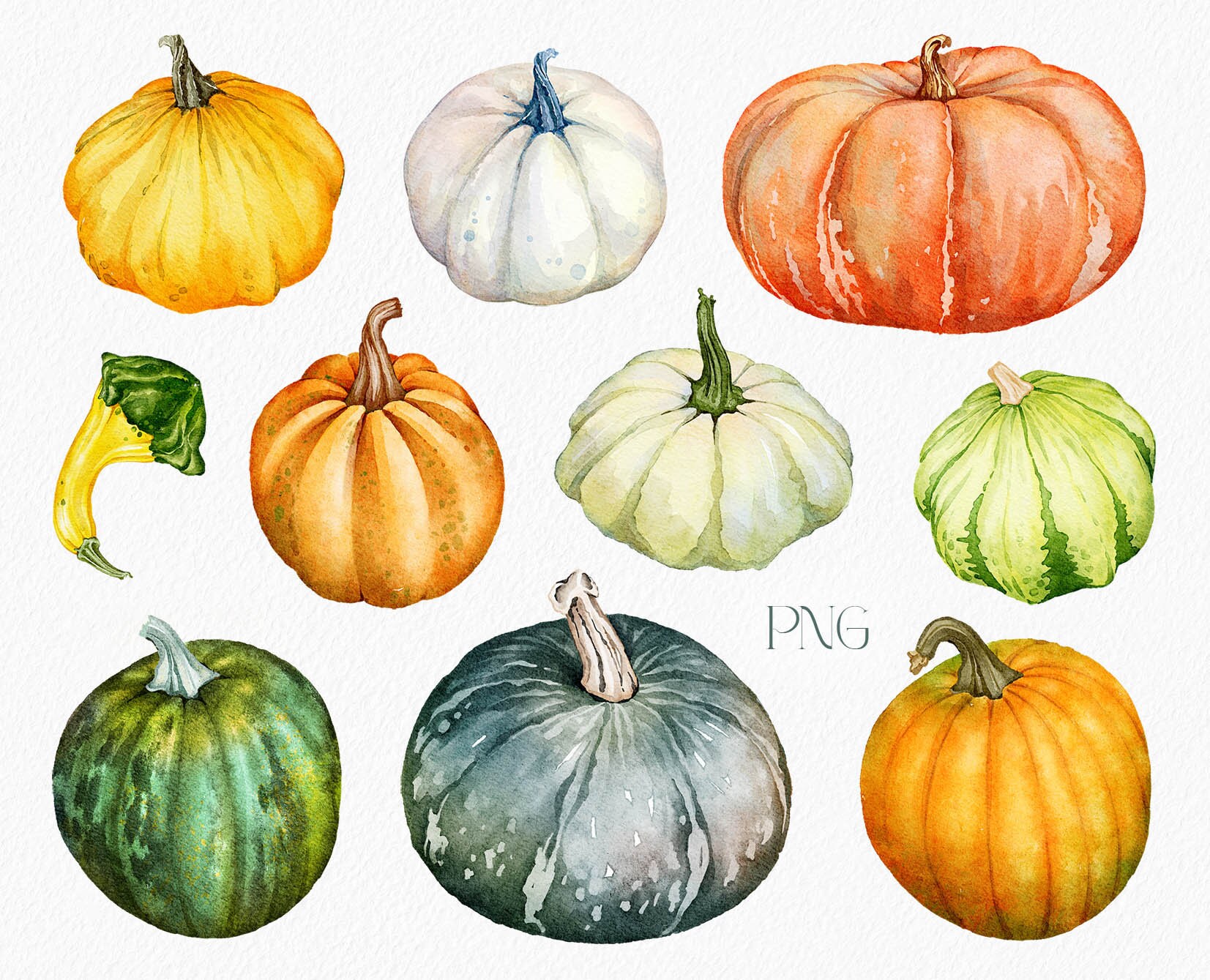Watercolor Pumpkin Clipart. Autumn Pumpkins. Pumpkin Harving - Etsy