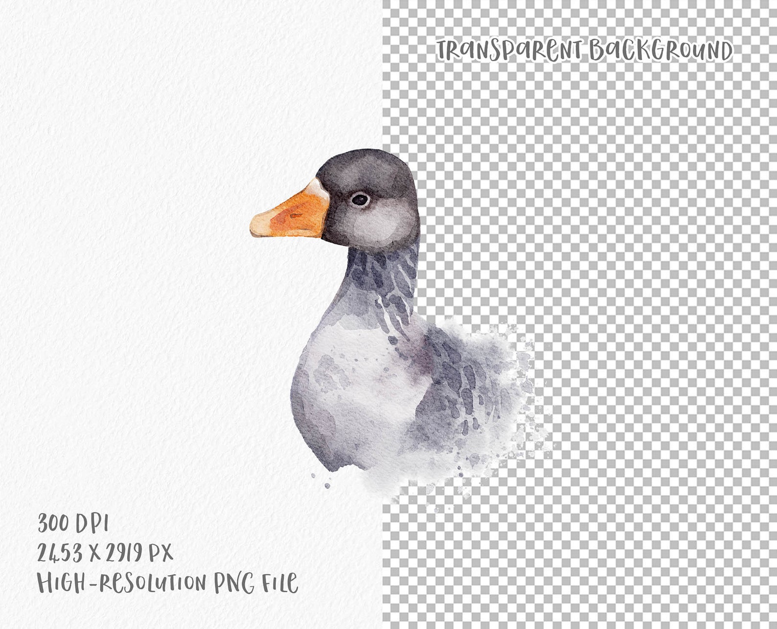 Goose Clipart. Watercolor Goose Illustration. Pet Portrait. - Etsy