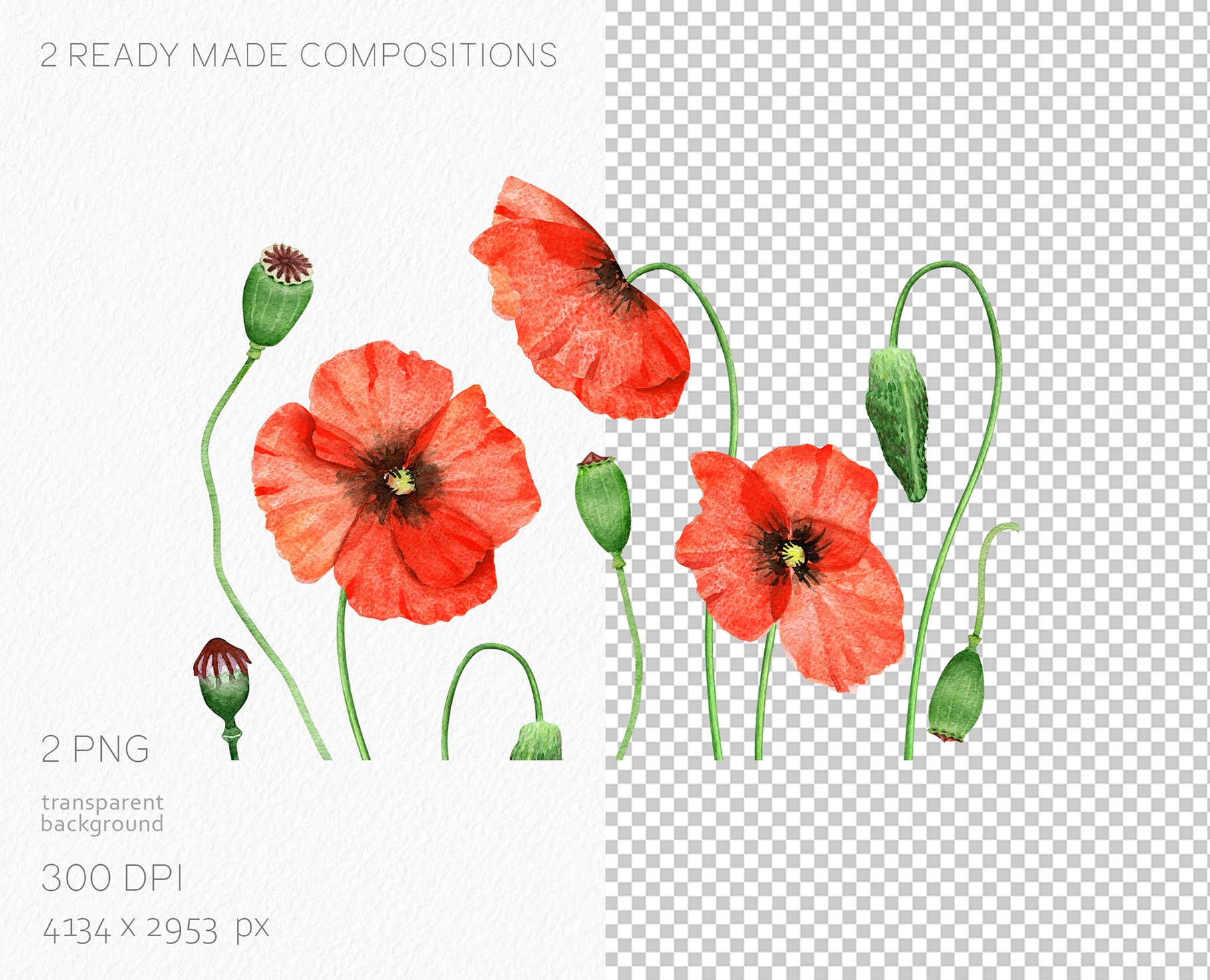 Watercolor Meadow Flowers Clipart. Watercolor Floral Clipart. - Etsy