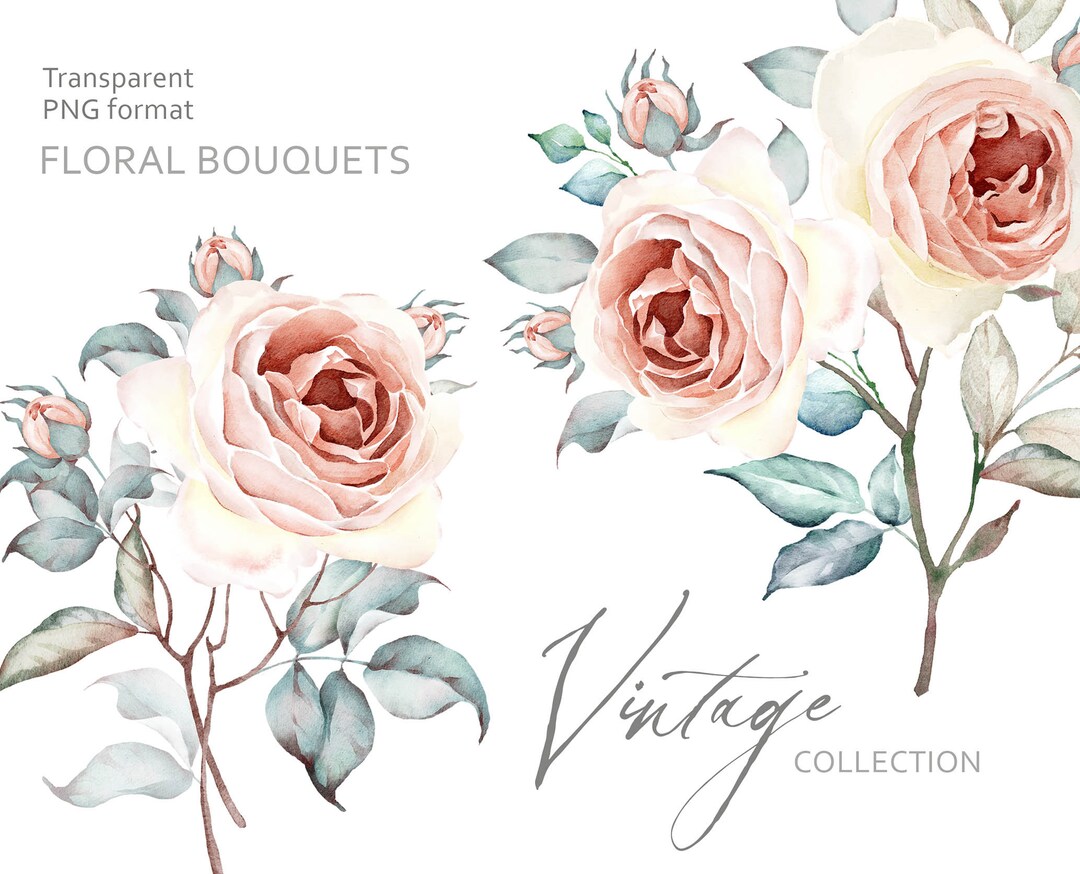 Watercolor Roses Clipart Watercolor Vintage Rose Bouquet Floral ...