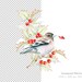 Watercolor Winter Bird Clipart. Christmas Set. Xmas Winter ...