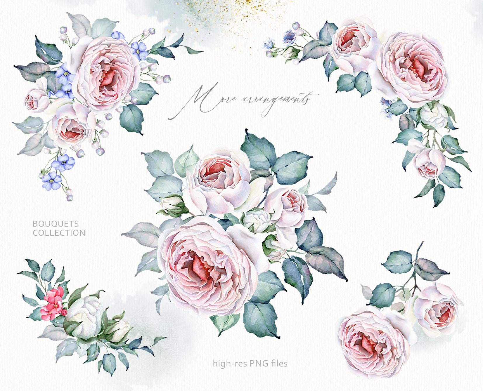 Roses Clipart Watercolor Flower Clipart Collection Rose Flower | Etsy