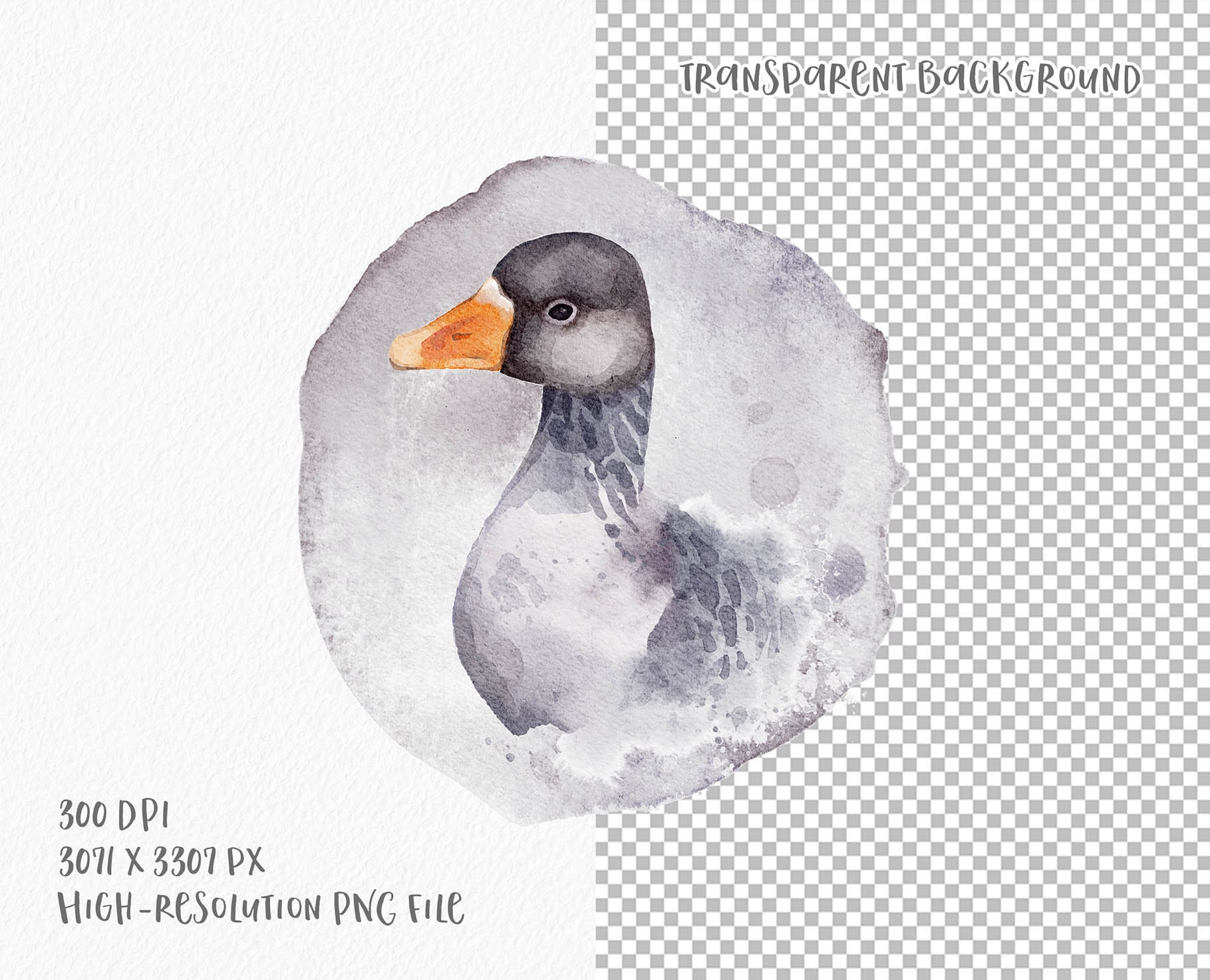 Goose Clipart. Watercolor Goose Illustration. Pet Portrait. - Etsy