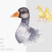 Farm Birds Clipart. Watercolor Farm Animals. Goose Clipart. Duck ...