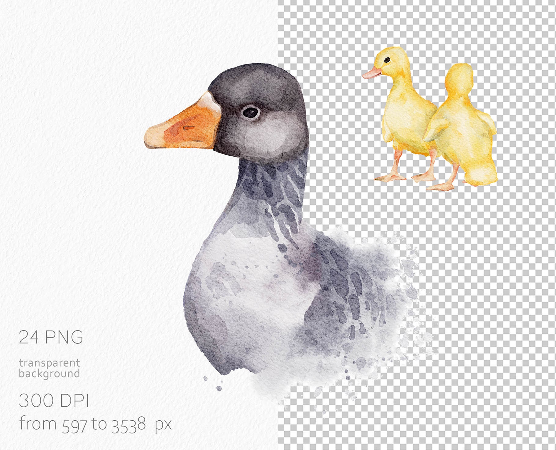 Farm Birds Clipart. Watercolor Farm Animals. Goose Clipart. Duck ...