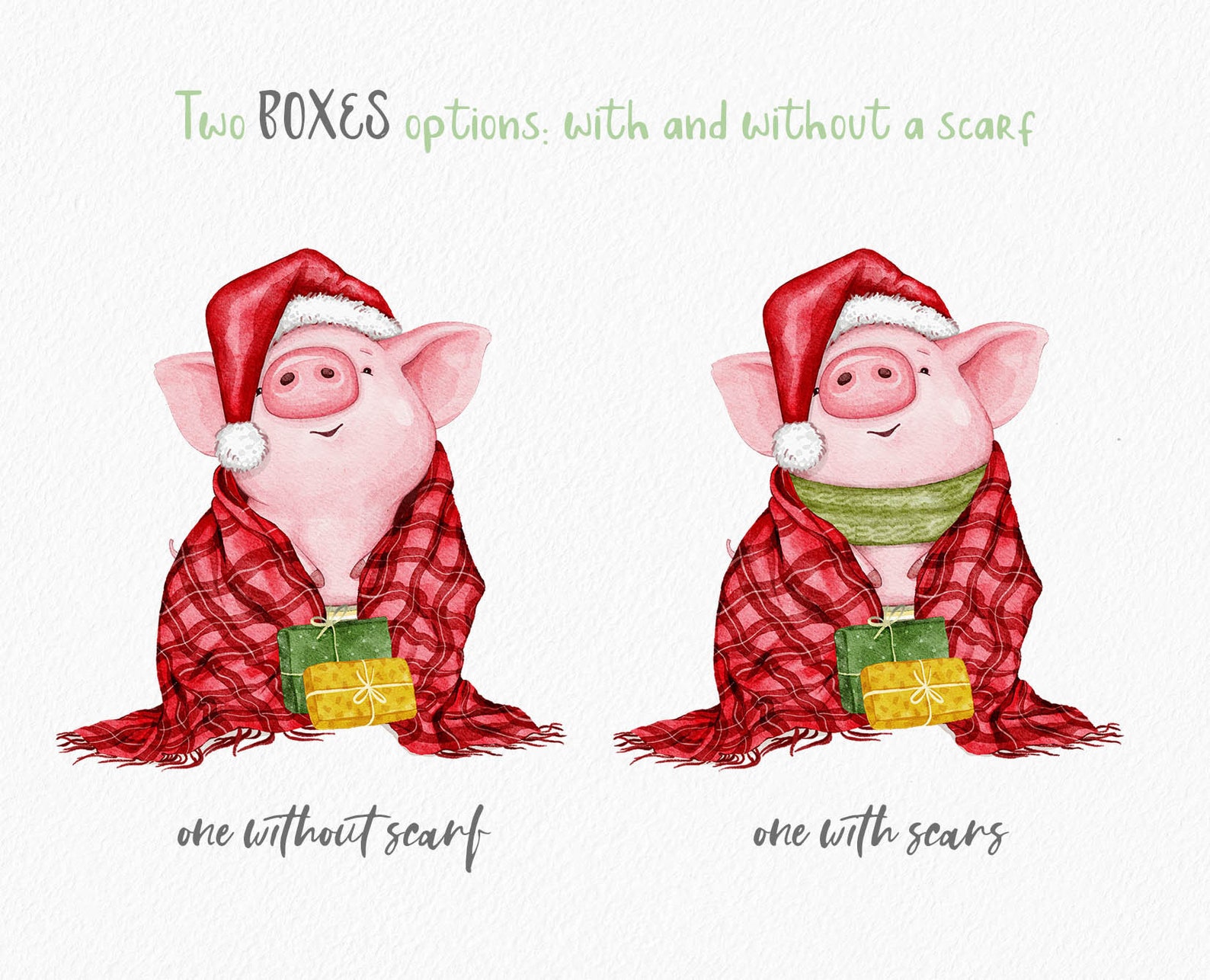 Watercolor Pig Clipart: in Santa Hat & Red Christmas Blanket. Christmas ...