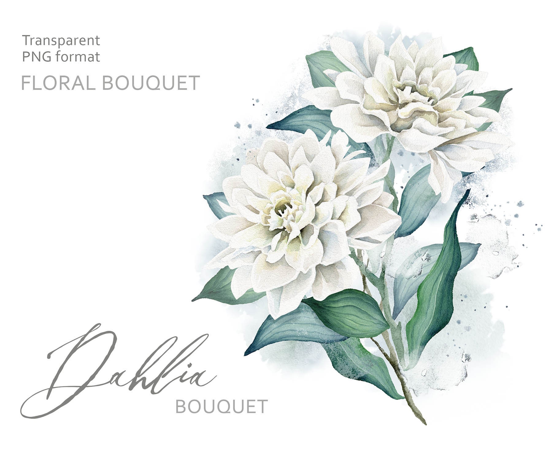 White Floral Design Png