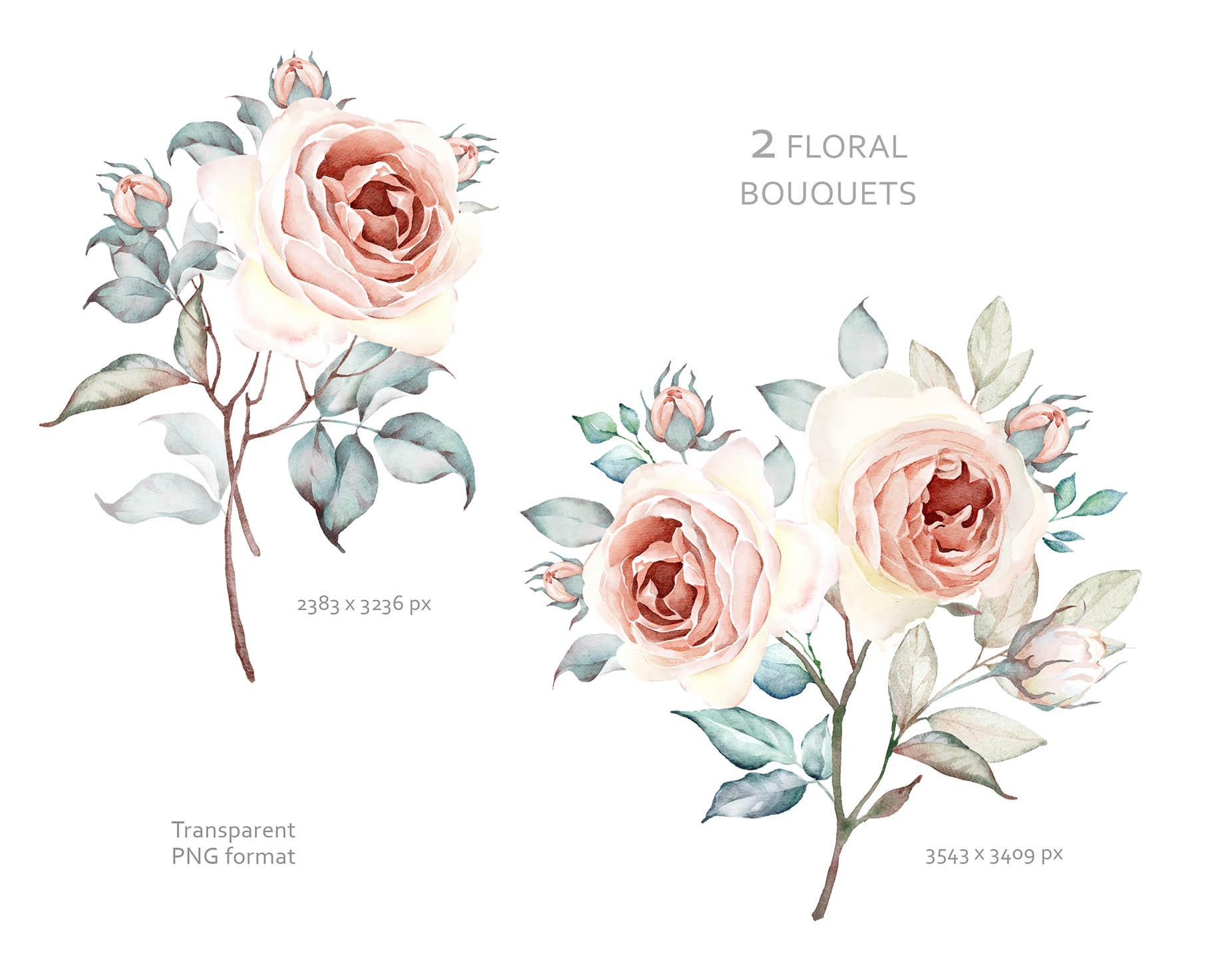 Watercolor Roses Clipart Watercolor Vintage Rose Bouquet Floral ...