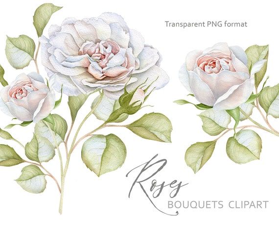 Rose Clipart Watercolor Roses Floral Clipart Watercolour | Etsy
