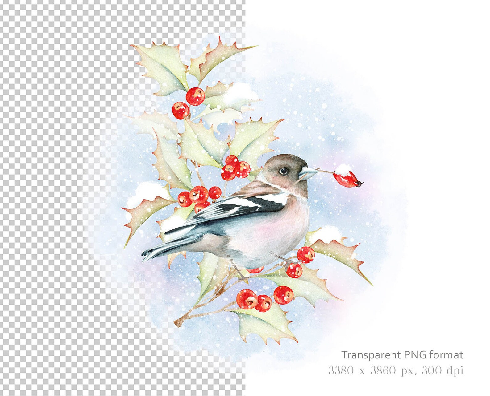 Watercolor Winter Bird Clipart. Christmas Set. Xmas Winter ...