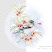 Watercolor Winter Bird Clipart. Christmas Set. Xmas Winter ...