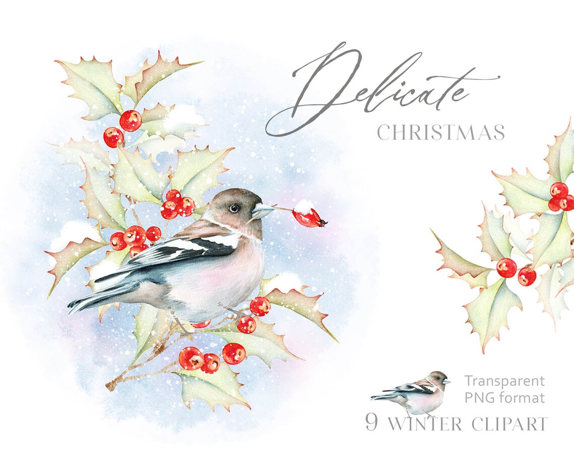 Watercolor Winter Bird Clipart. Christmas Set. Xmas Winter - Etsy