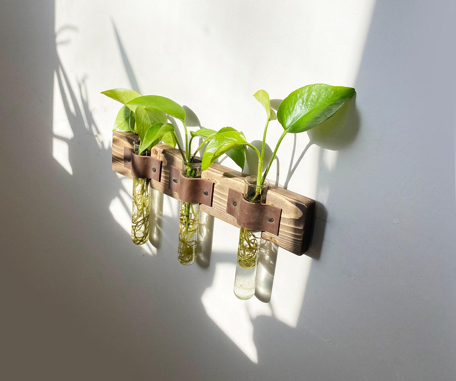 Triple Glass Vial Plant Propagation Décor | Plant Storage | Home Décor ...