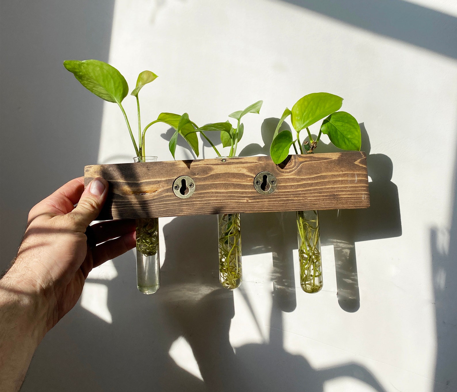 Triple Glass Vial Plant Propagation Décor | Plant Storage | Home Décor ...