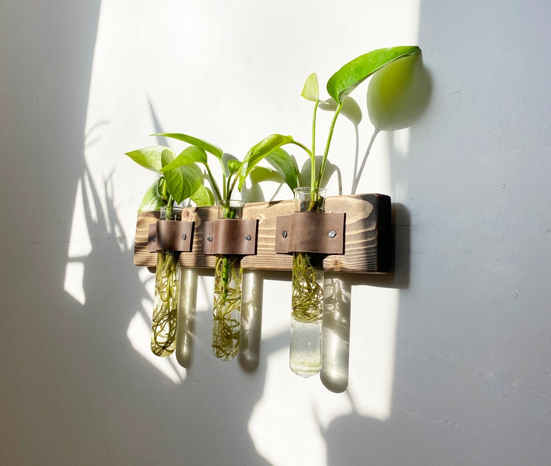 Triple Glass Vial Plant Propagation Décor | Plant Storage | Home Décor ...