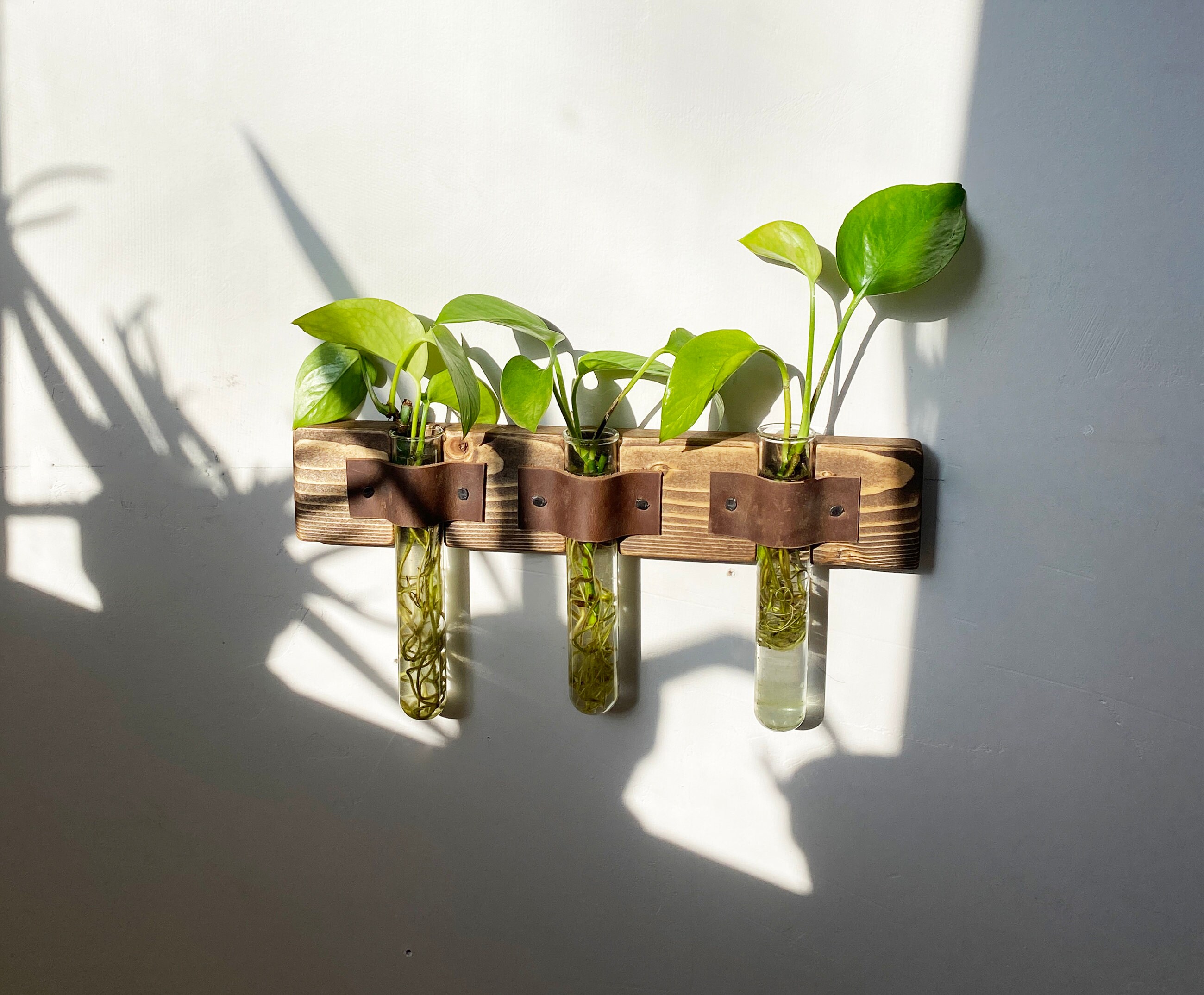 Triple Glass Vial Plant Propagation Décor | Plant Storage | Home Décor ...