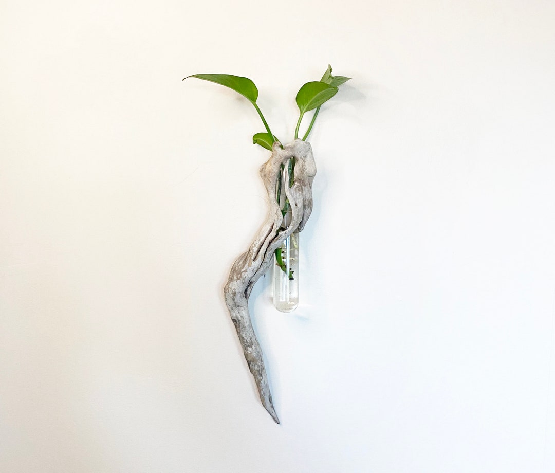 Wall Plant Propagation Decor Plant Storage Home Décor - Etsy