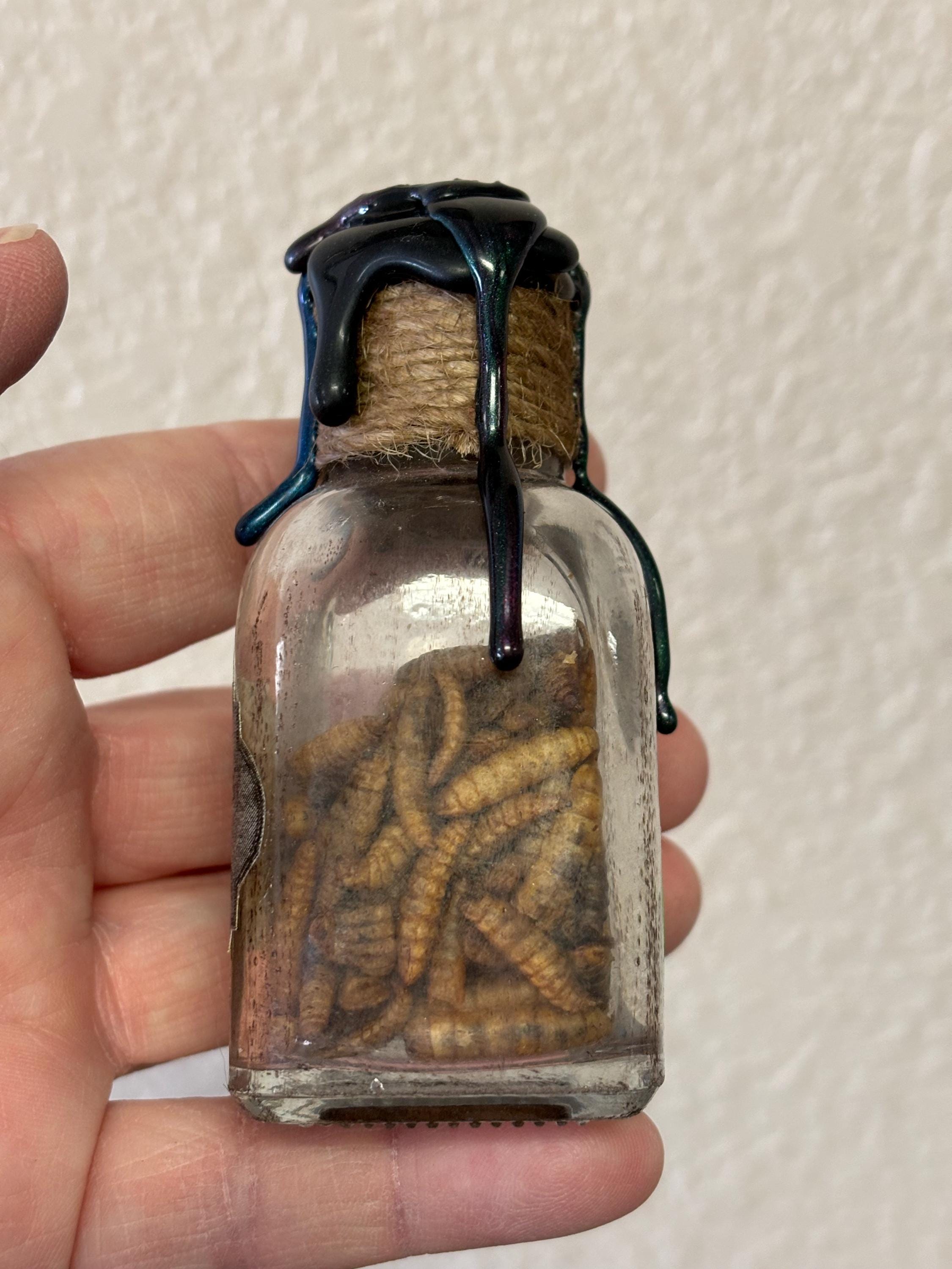 Blind Worm Sting Potion Bottle | Halloween, Bookshelf Decor - Etsy