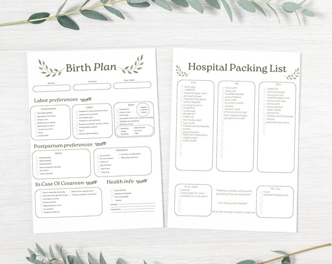 Birth Plan | Birth Plan Template | Visual Birth Plan | Printable Birth ...