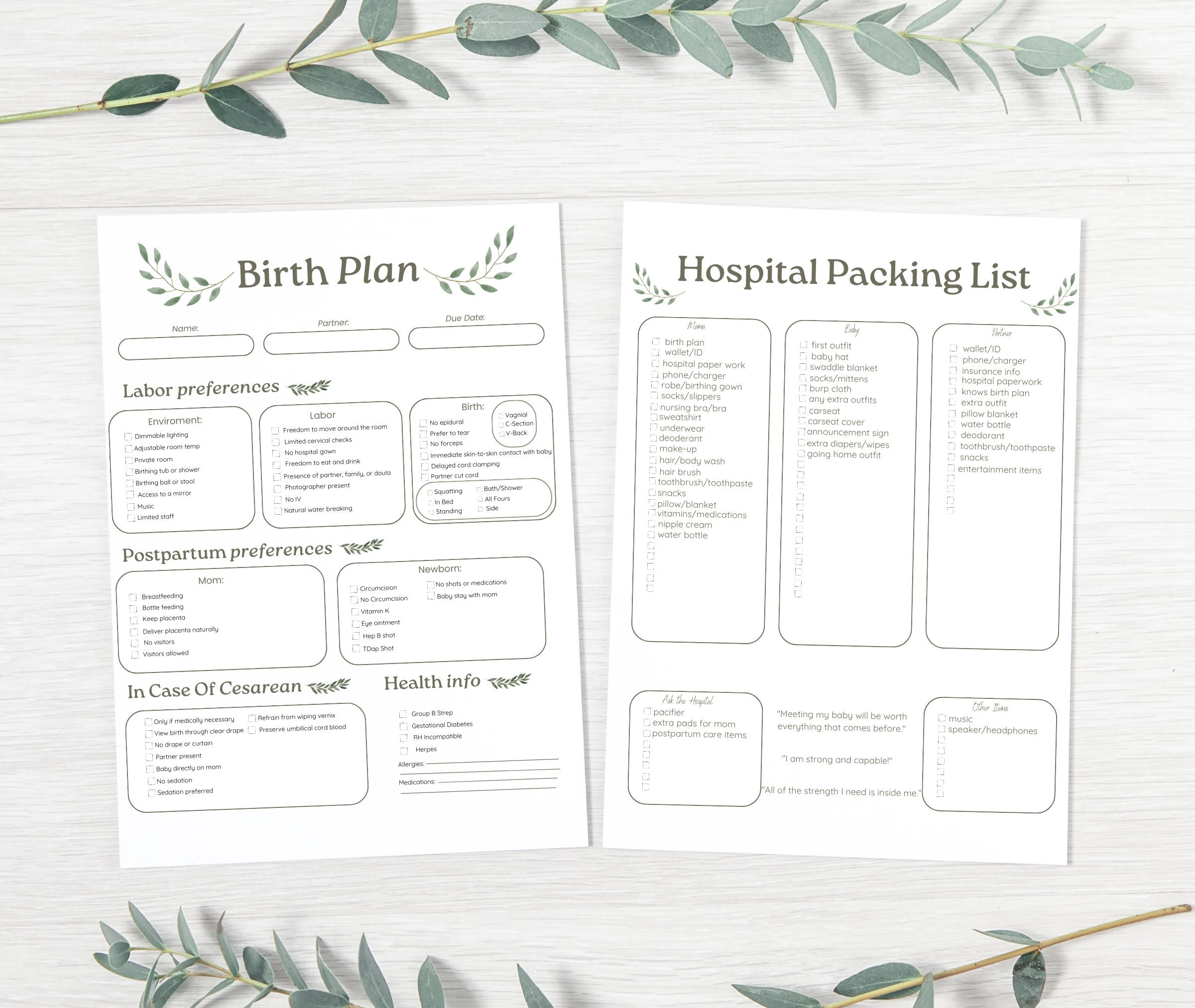 Birth Plan Birth Plan Template Visual Birth Plan Printable Birth Plan ...