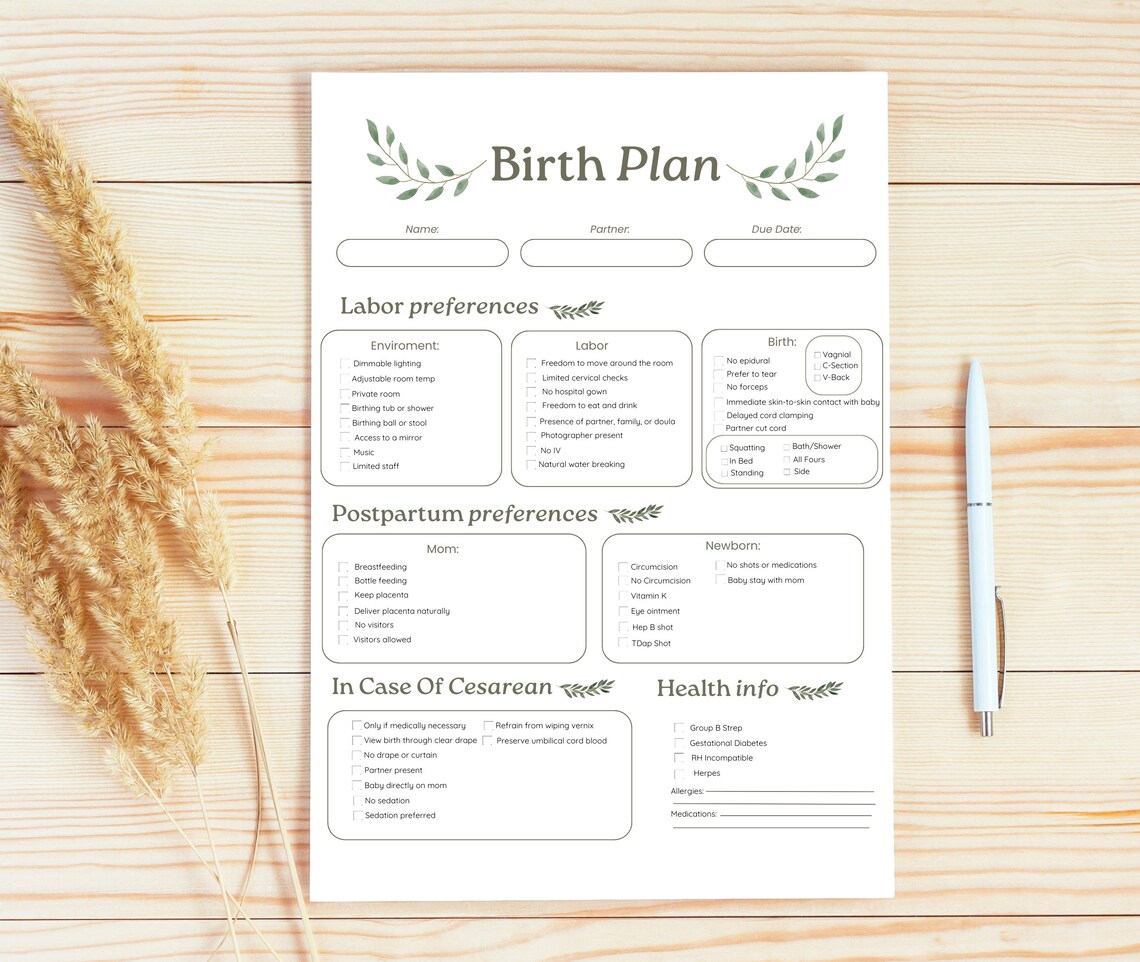 Birth Plan Birth Plan Template Visual Birth Plan Printable Birth Plan ...