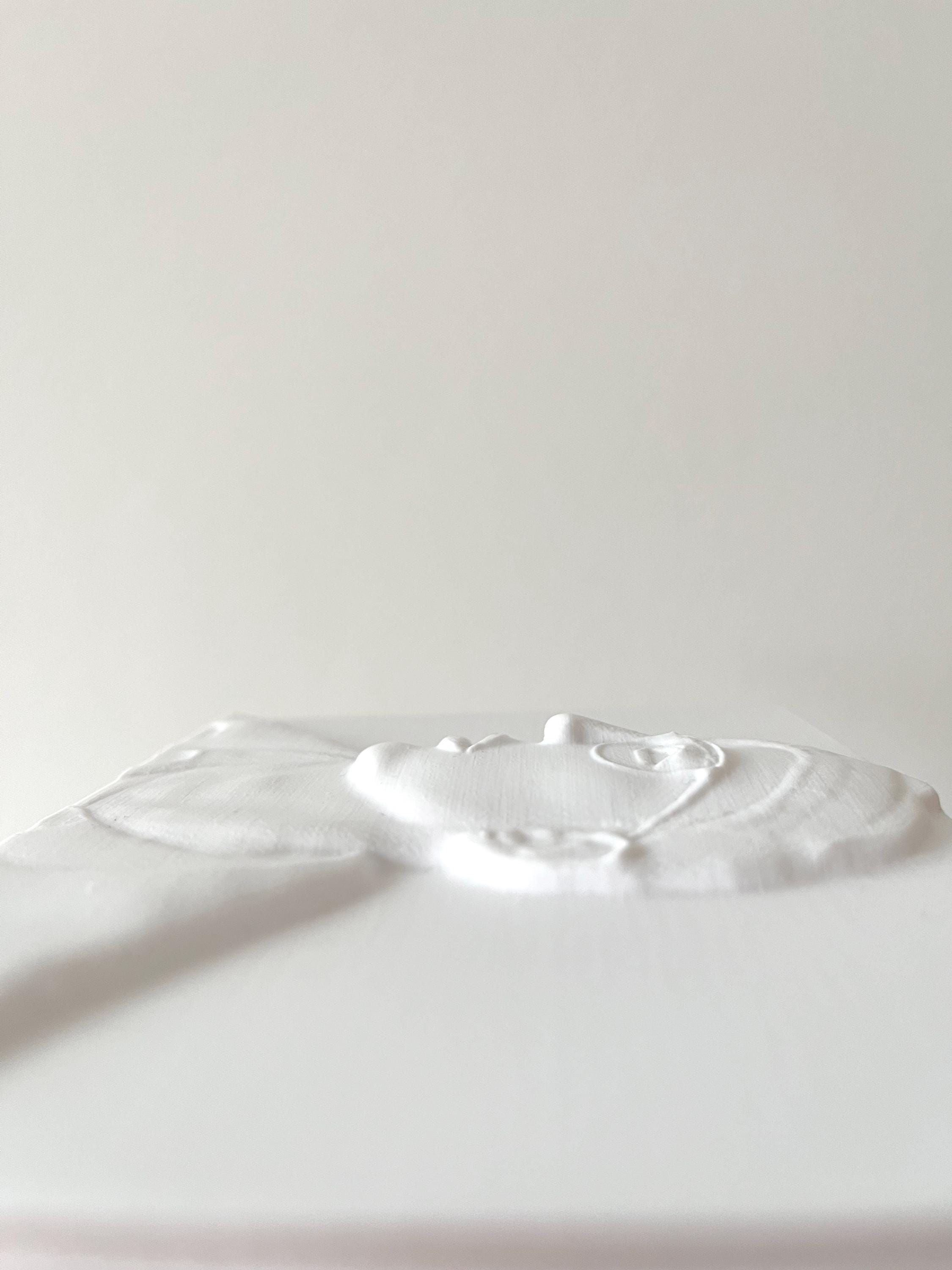 Tactile Pictures for Blind or Visual Impaired, Custom Photo Embossing ...