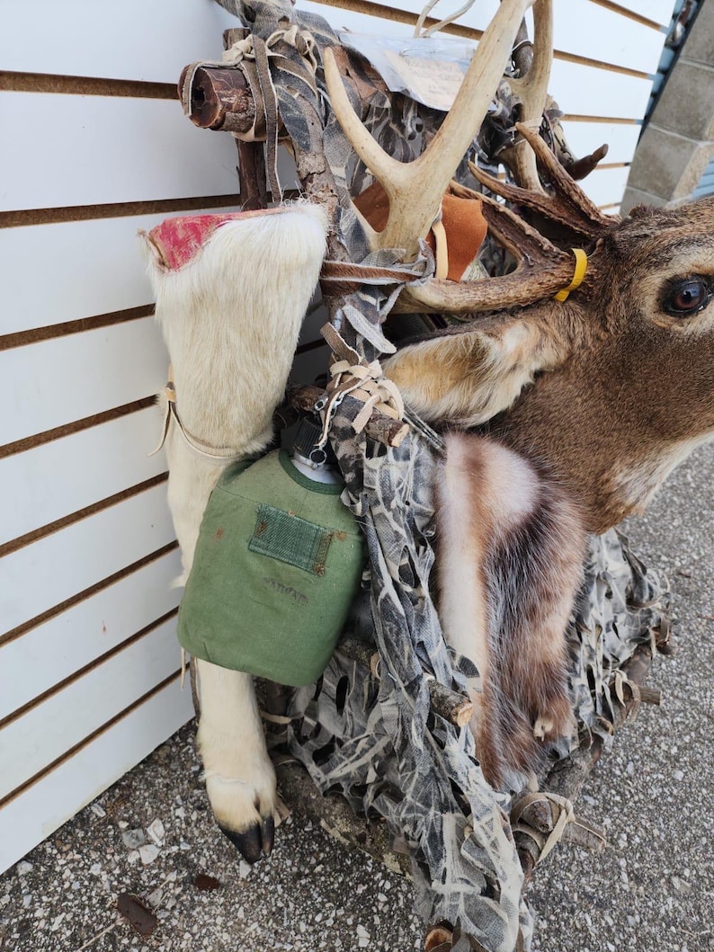 Whitetail Pack Out Back Pack Mount Taxidermy |skin Pelt - Etsy