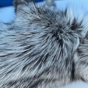 Silver White Mark Fox Soft Mount Taxidermy- High Museum Quality - Etsy