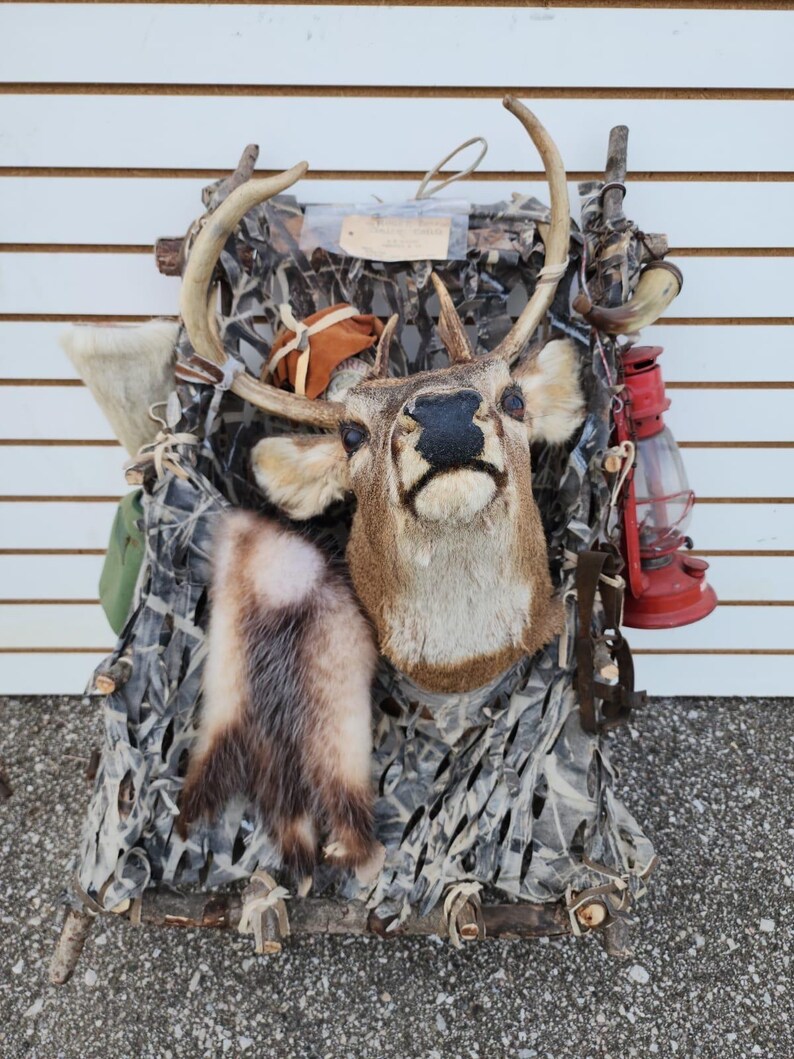 Whitetail Pack Out Back Pack Mount Taxidermy |skin Pelt - Etsy