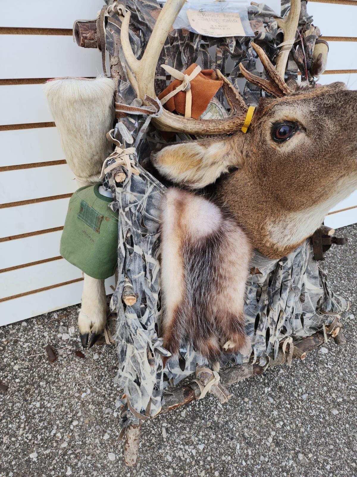 Whitetail Pack Out Back Pack Mount Taxidermy |skin Pelt - Etsy