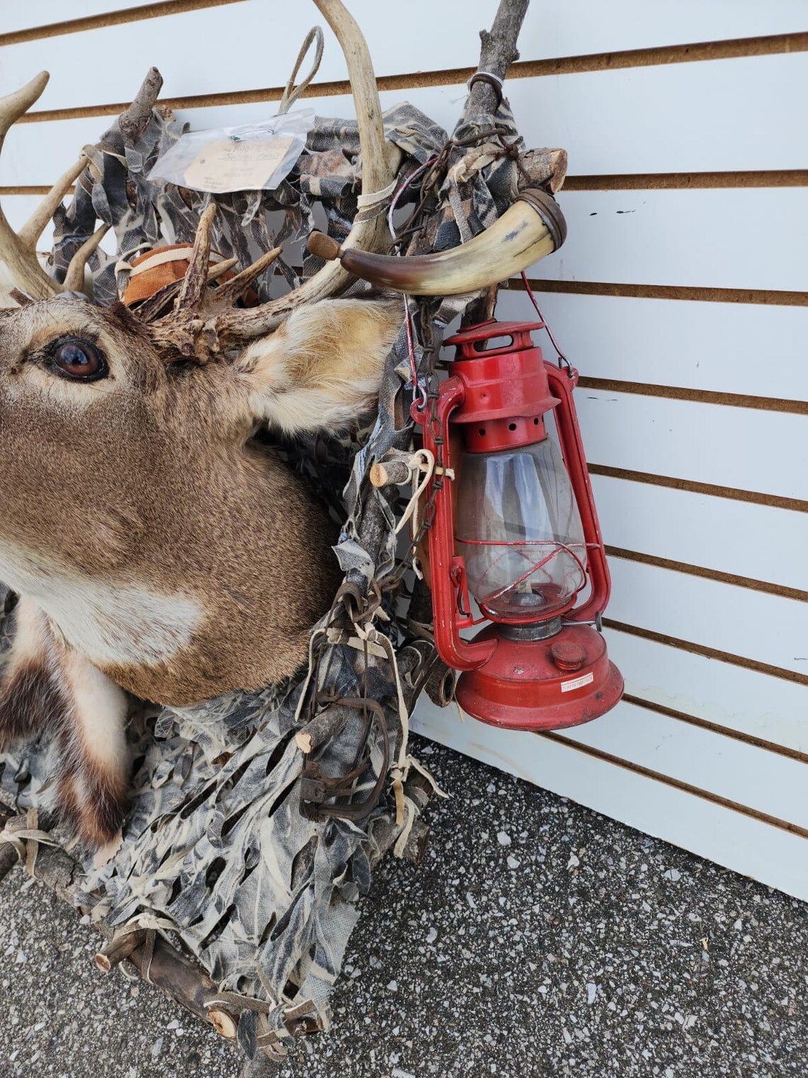 Whitetail Pack Out Back Pack Mount Taxidermy |skin Pelt - Etsy