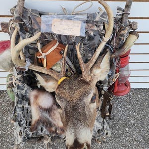 Whitetail Pack Out Back Pack Mount Taxidermy |skin Pelt - Etsy