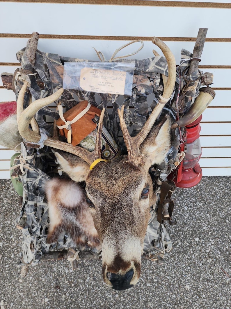 Whitetail Pack Out Back Pack Mount Taxidermy |skin Pelt - Etsy