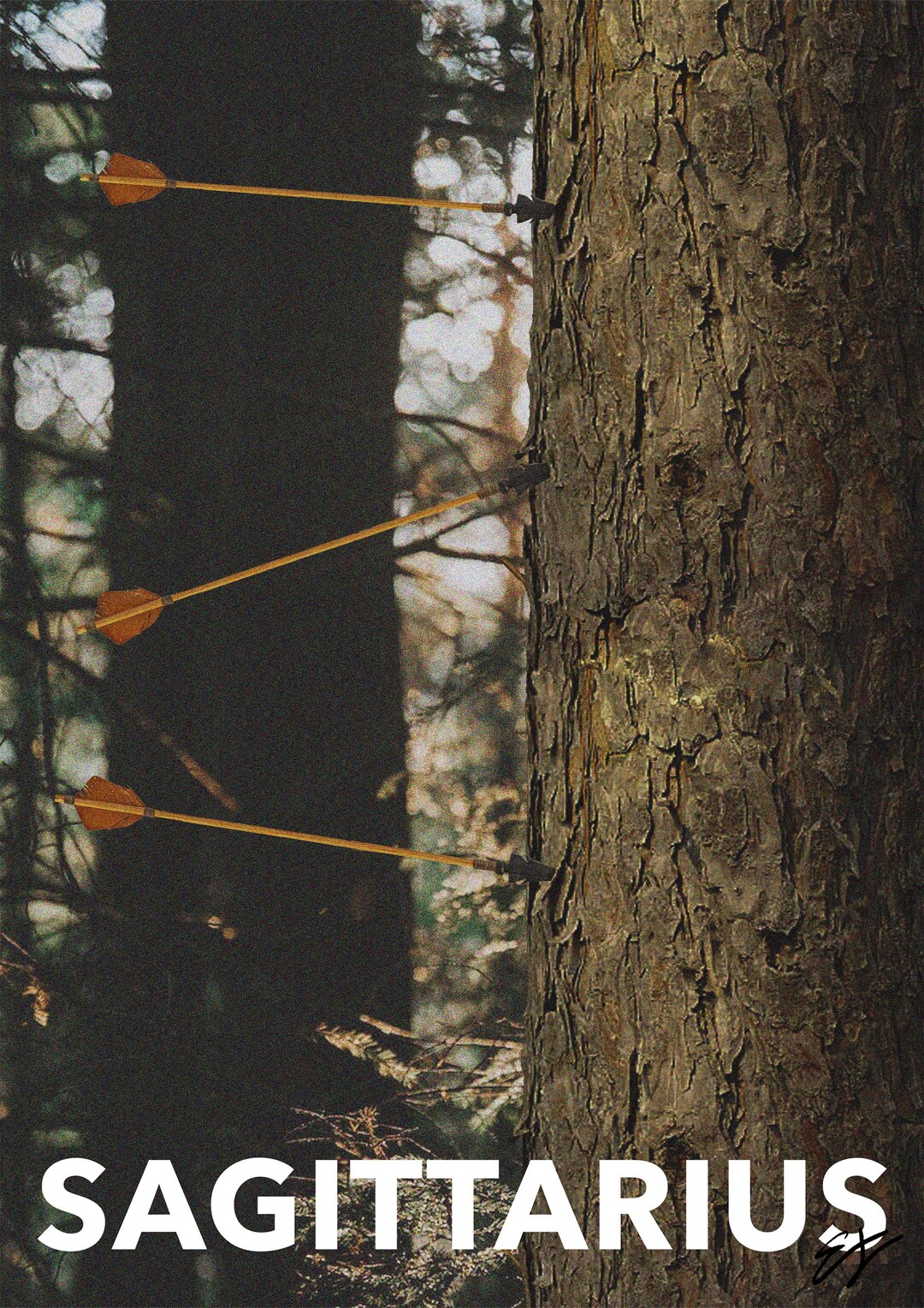 Sagittarius Poster - Etsy
