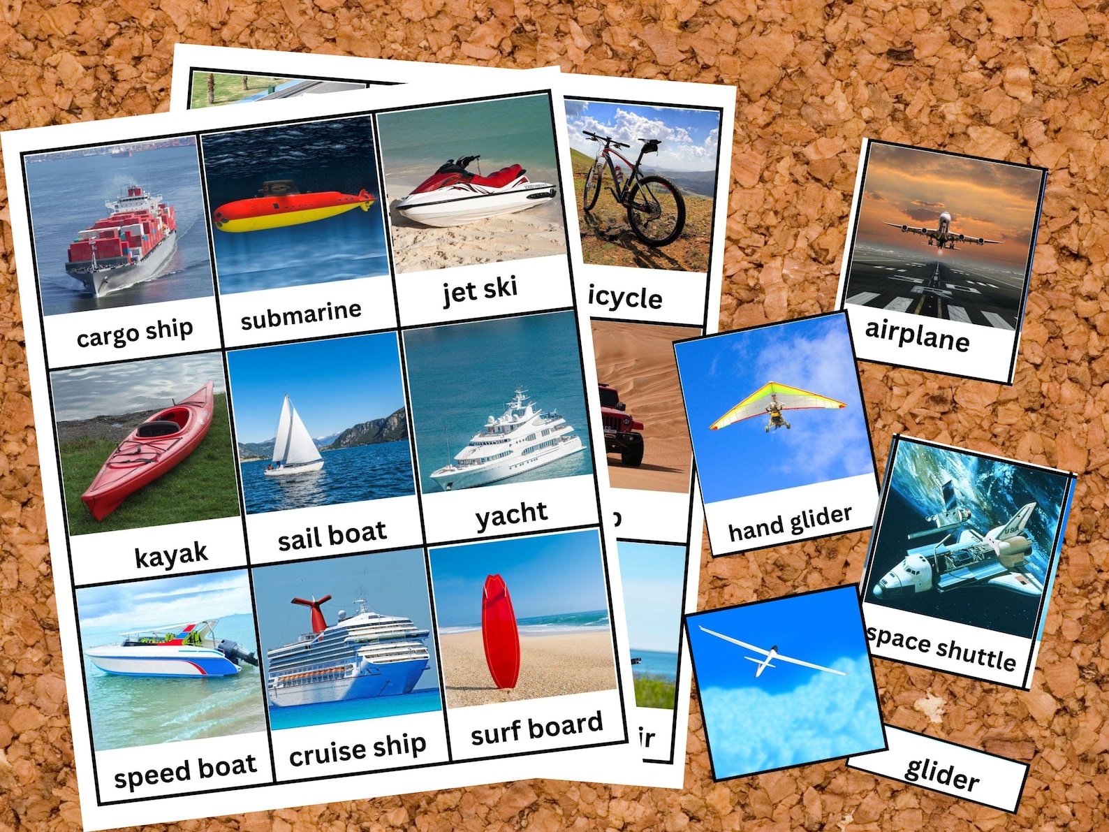 Land, Air, and Water Sorting Activity - Etsy