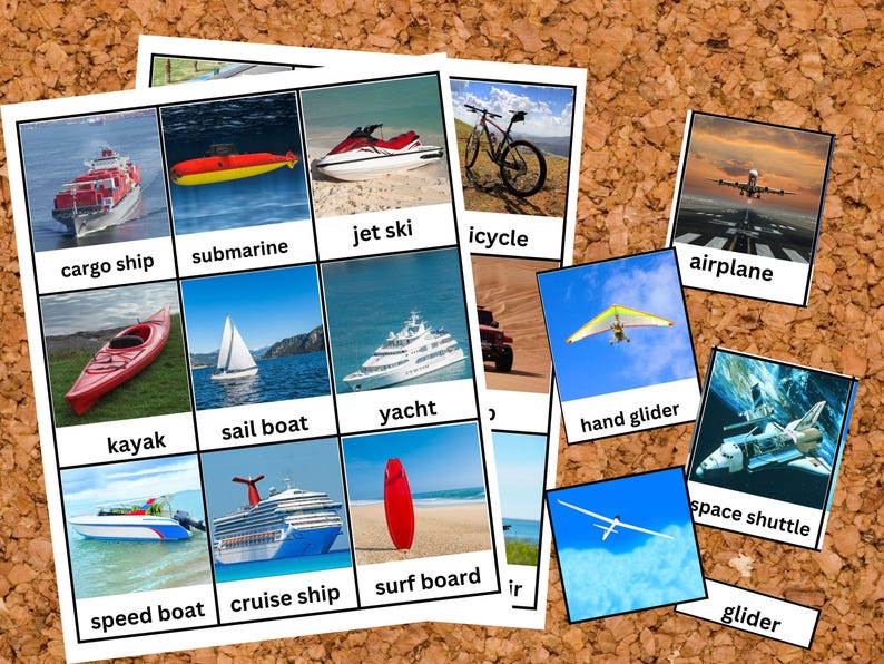 Land, Air, and Water Sorting Activity - Etsy