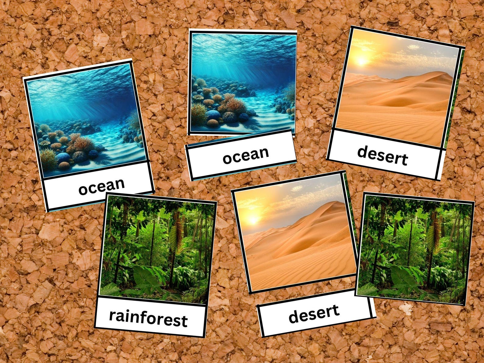 Montessori 7 Habitats Sorting Activity Printable | Animal & Plant ...
