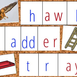 Montessori Green Series Pictures and Letters - Etsy