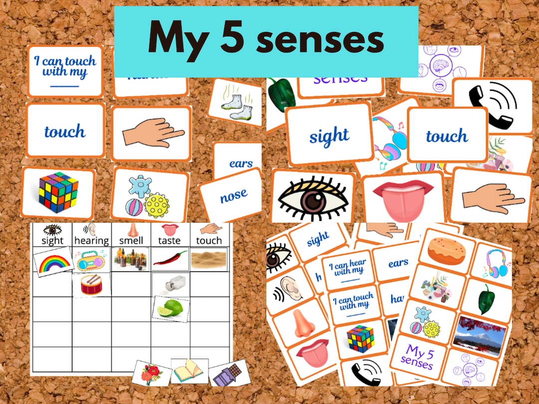 Montessori My 5 Senses - Etsy