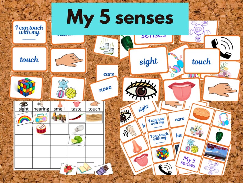 Montessori My 5 Senses - Etsy