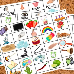 Montessori My 5 Senses - Etsy