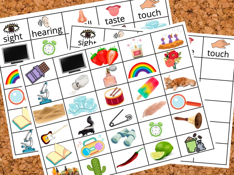 Montessori Five Senses Activities Bundle - Sorting Cards & Sentence ...