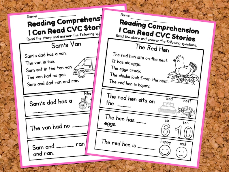 Montessori CVC Reading Comprehension - Etsy