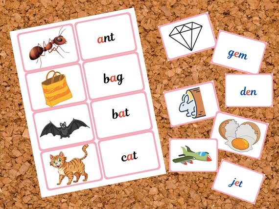 Montessori Pink Series Pictures and Word Cards - Etsy