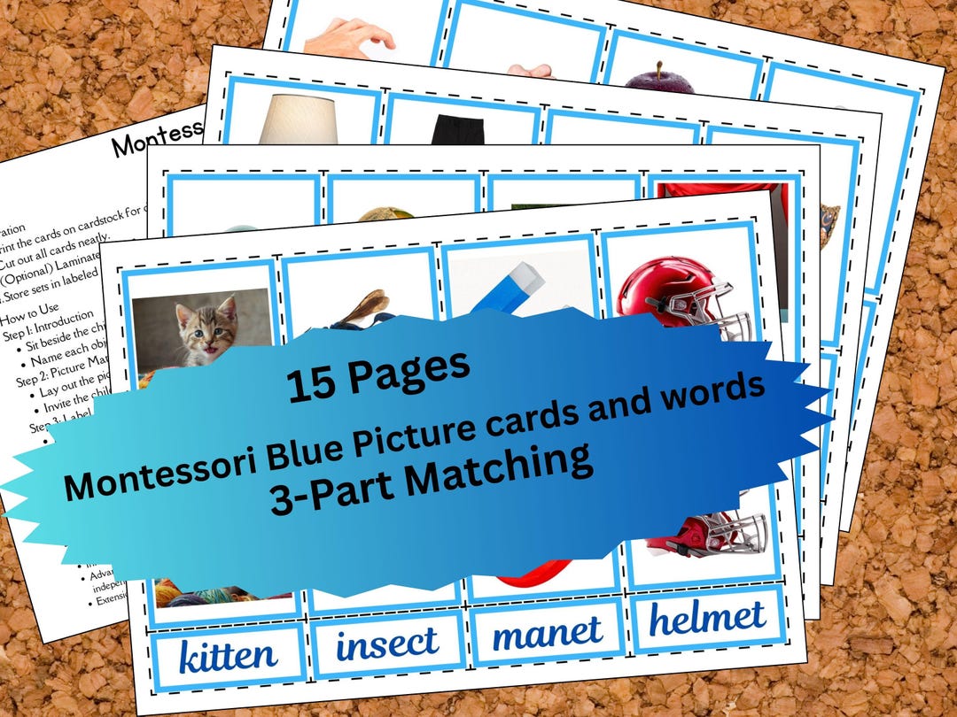 Montessori Blue Series Cards | Phonics Blends & Picture Matching | 3 ...